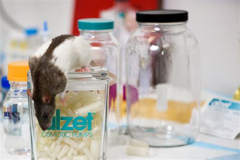 Cardiovascular Research With Alzet® Pumps