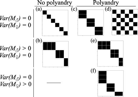Why Patterns Of Assortative Mating Are Key To Study Sexual Selection And How To Measure Them