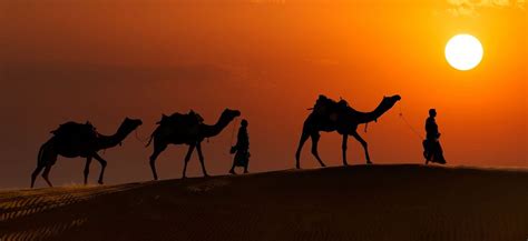 Rajasthan 5 Days Desert Safari Tour