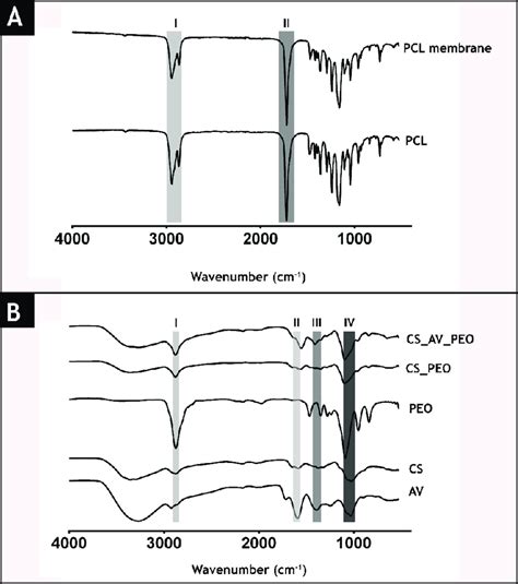Attenuated Total Reflectance Fourier Transform Infrared Spectroscopic Download Scientific