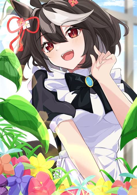 Kitasan Black Umamusume Drawn By Asahina Yoi Danbooru