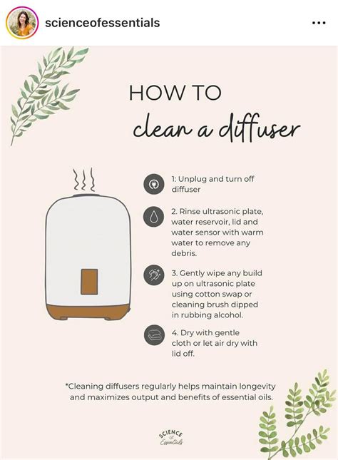 Best 12 Humidifier Vs Diffuser Whats The Difference Artofit