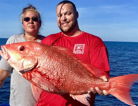 Best Red Snapper Bait Secret Weapon