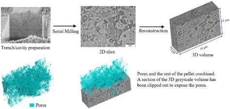 Fresh Rc Fib Sem Trench Site And 2d And 3d Reconstructed Grayscale Download Scientific Diagram