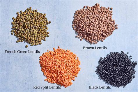 How To Cook Lentils Lentil Recipe The Mediterranean Dish