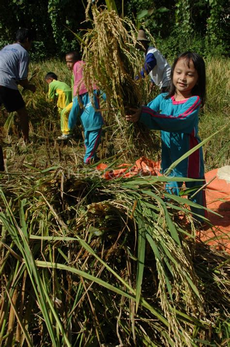 Kelas Terbuka Antara Foto