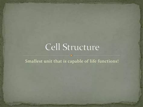 PPT Cell Structure PowerPoint Presentation Free Download ID 4461454