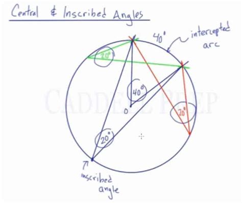 Learn About Central And Inscribed Angles Caddell Prep Online