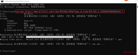 如何安装使用you get下载网页视频（一条dos命令行高速下载） zjhok导航