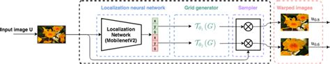 The Spatial Transformer Network Stn Download Scientific Diagram