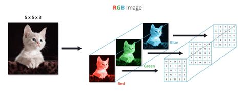 Biblioteca Numpy O Que é Vantagens E Como Usar