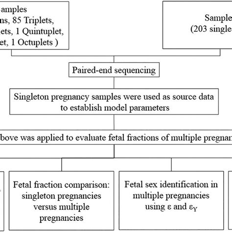 Results Of Fetal Sex Identification In Triplet Pregnancies Download Scientific Diagram