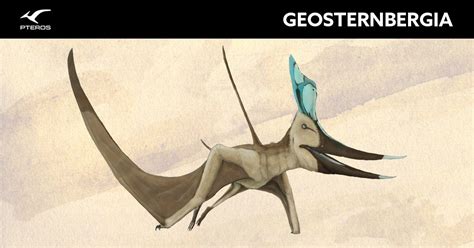 Pteros Pterosaur Geosternbergia