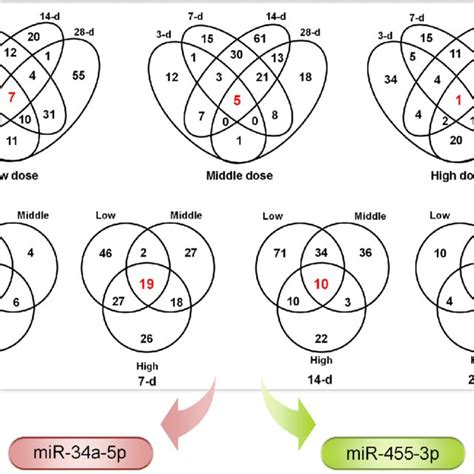 Venn Diagrams Of Dems During Different Time Points And Doses A