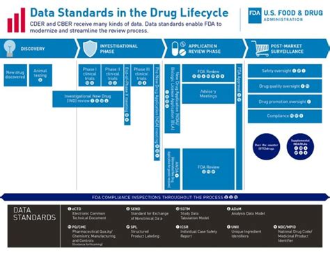 Check Out This Infographic To Better Understand How Data Standards Are
