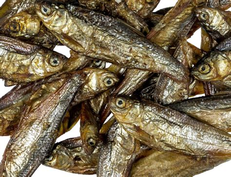 Fische 4-7 cm Futtermittel | Großhändler
