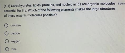 What Is The Difference Between Carbohydrates Lipids Proteins And