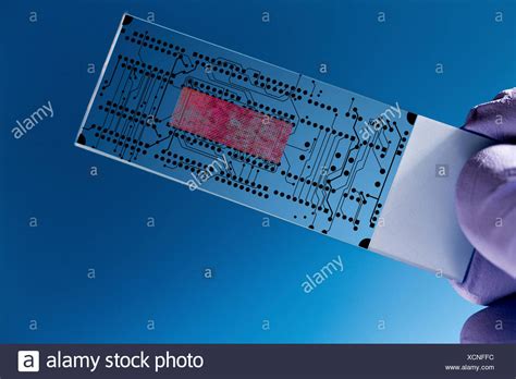 Lab On A Chip Stock Photos Lab On A Chip Stock Images Alamy