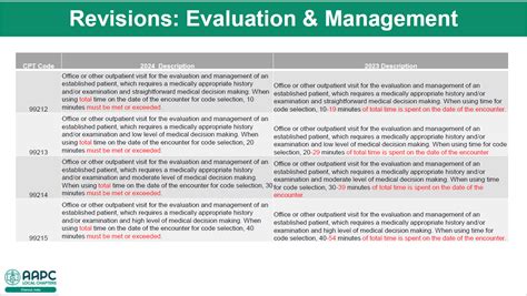 Cpt Coding Updates 2024