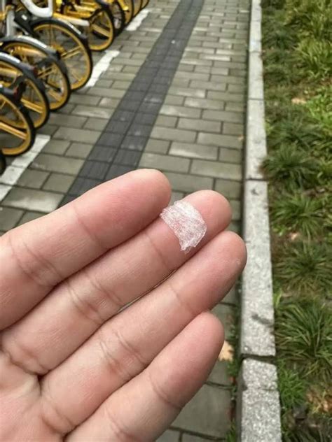 冷雨冰雪几时休元宵能见明月吗 天气 气温 雨水