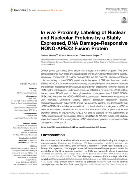 PDF In Vivo Proximity Labeling Of Nuclear And Nucleolar Proteins By A Stably Expressed DNA