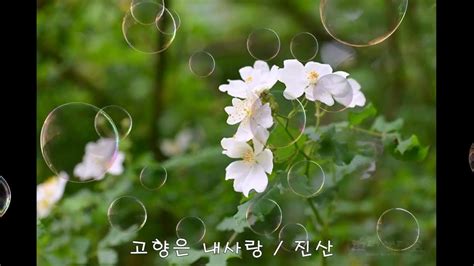 고향은 내사랑진산 신곡 돈들어오네 금산아가씨 Youtube