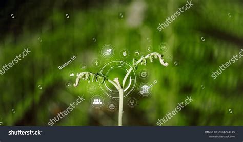 환경 사회 및 기업 관리를 위한 스톡 사진 2384274115 Shutterstock