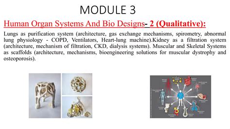 Biology For Engineers Module 3 Human Organ Systems And Bio Designs