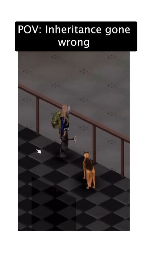 Highpolar Softwares When You Dont Override Base Class Methods Video