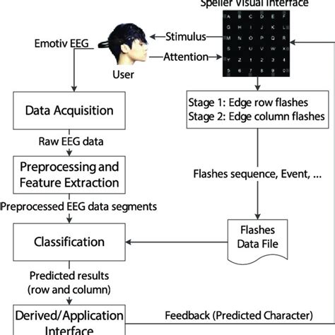 Framework Of The P300 Based Ep Speller Download Scientific Diagram