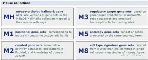 msigdb与基因富集 知乎