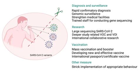Strategies To Tackle Sars Cov 2 Emerging Variants Download Scientific Diagram
