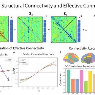 A The Derivative Is Expressed Using The First Three Estimated Terms Of Download Scientific
