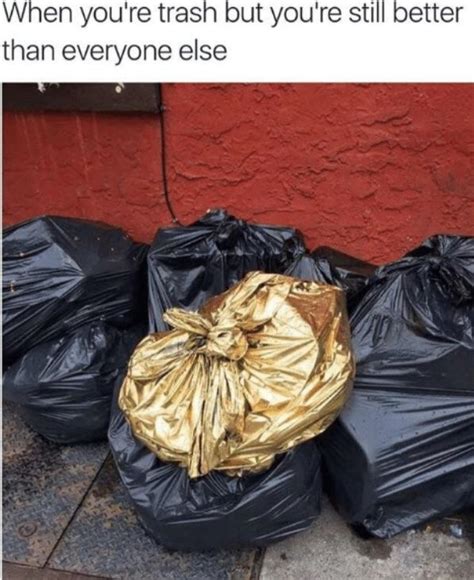 Shiny Garbage R Reallifeshinies