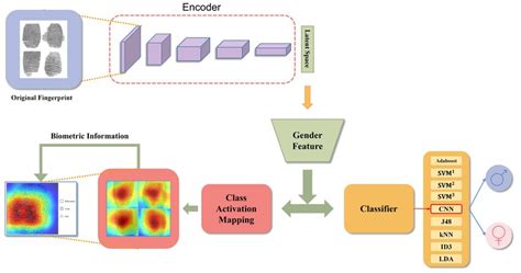 Methodologies Demonstrate The Original Fingerprint Images Will Walk