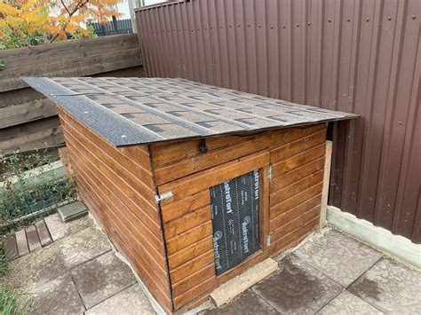 Cusca Caini Sau Pentru Crescut Pui Iasi • Olx Ro