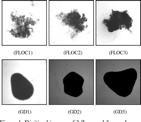 Figure 1 From Morphological Characterisation Of Microbial Aggregates By