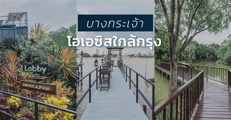 เดินทาง ไป บางกระเจ้า โอเอซิสใกล้กรุง ใน 1 วัน รีวิวที่เที่ยวเพียบ