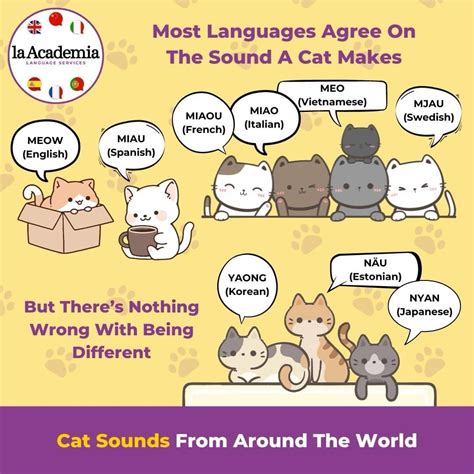 🐱🌍 Ever Wondered How Cats Meow In Different Languages From Meow In English To Nyan In