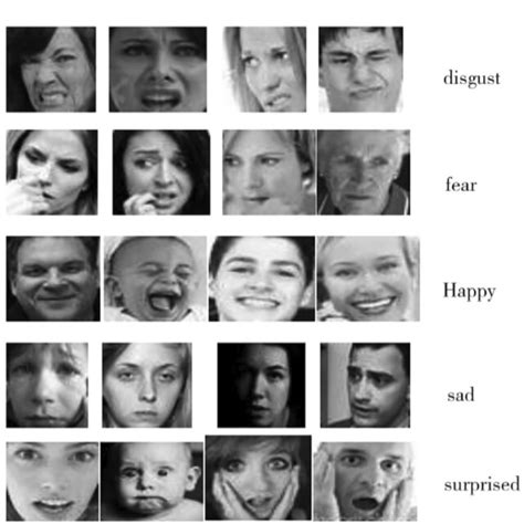 Facial Expression Classification Samples From Affectnet Download