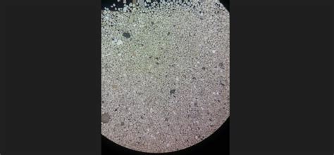 Small Research Facilities Oxford University Museum Of Natural History