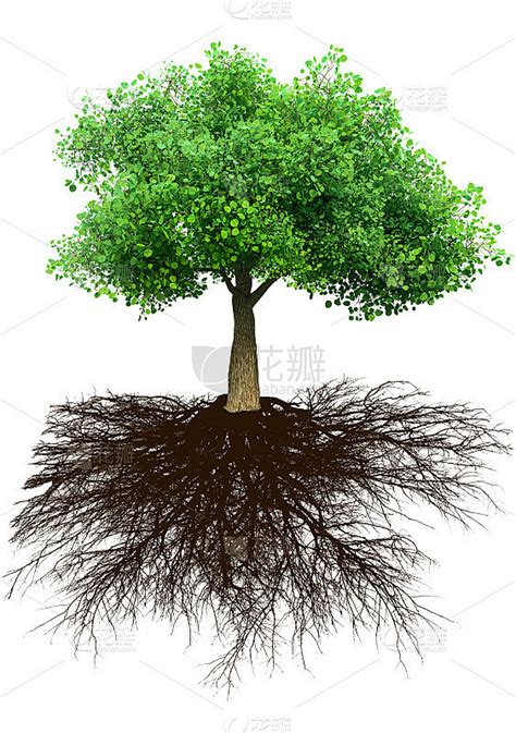 树和根3d插图