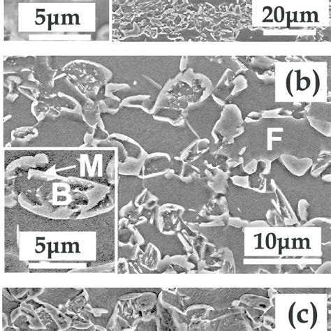 Flow Chart For Integrated Microstructure Evolution Model Download Scientific Diagram