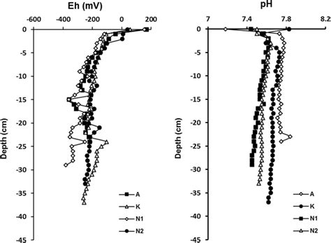 Distribution Of Eh And Ph In The Sediment Pore Water Depth Profiles