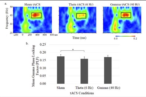 Figure 1 From Transcranial Alternating Current Stimulation Alters