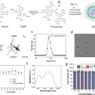 A Schematic Illustration Of The Synthesis Of SPD B Calculated Download Scientific Diagram