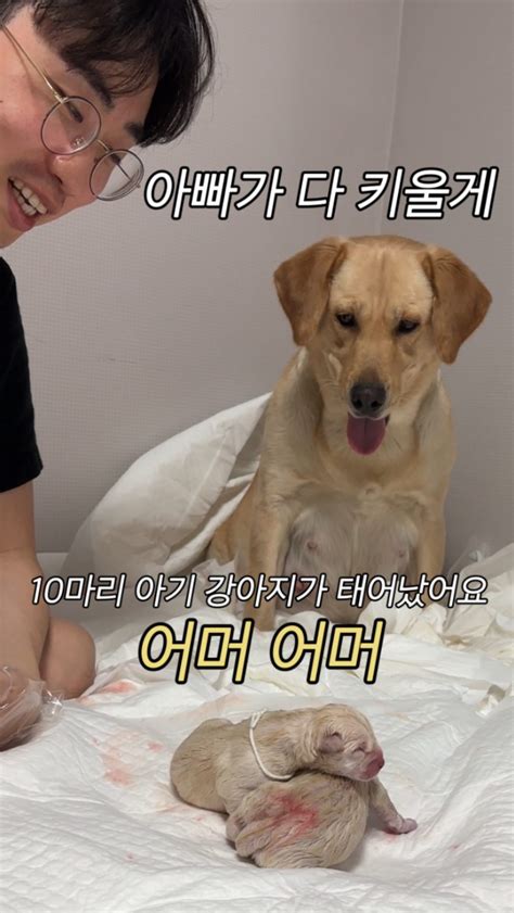 K아빠 이강태 안녕하세요 사단법인 포캣멍센터입니다 저희 센터의 첫 공식활동 2025년 제1회 바자회and입양제 파티를 개최합니다 ️바자회 당일 입양제 함께 진행 이번