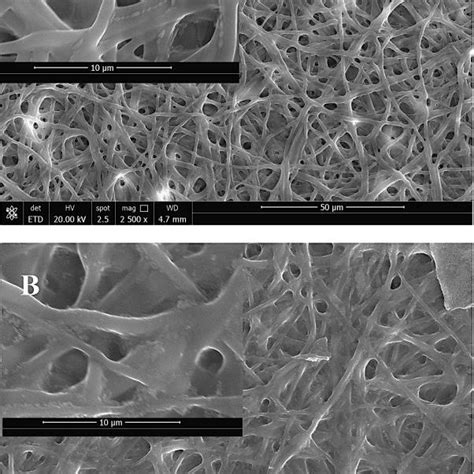 Pdf Cross Linked Electrospun Gelatin Nanofibers For Cell Based Assays