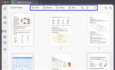How To Edit Modify A PDF On Mac Effortless Tricks UPDF