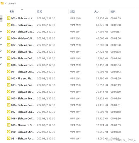 Python脚本与音视频处理 Csdn博客